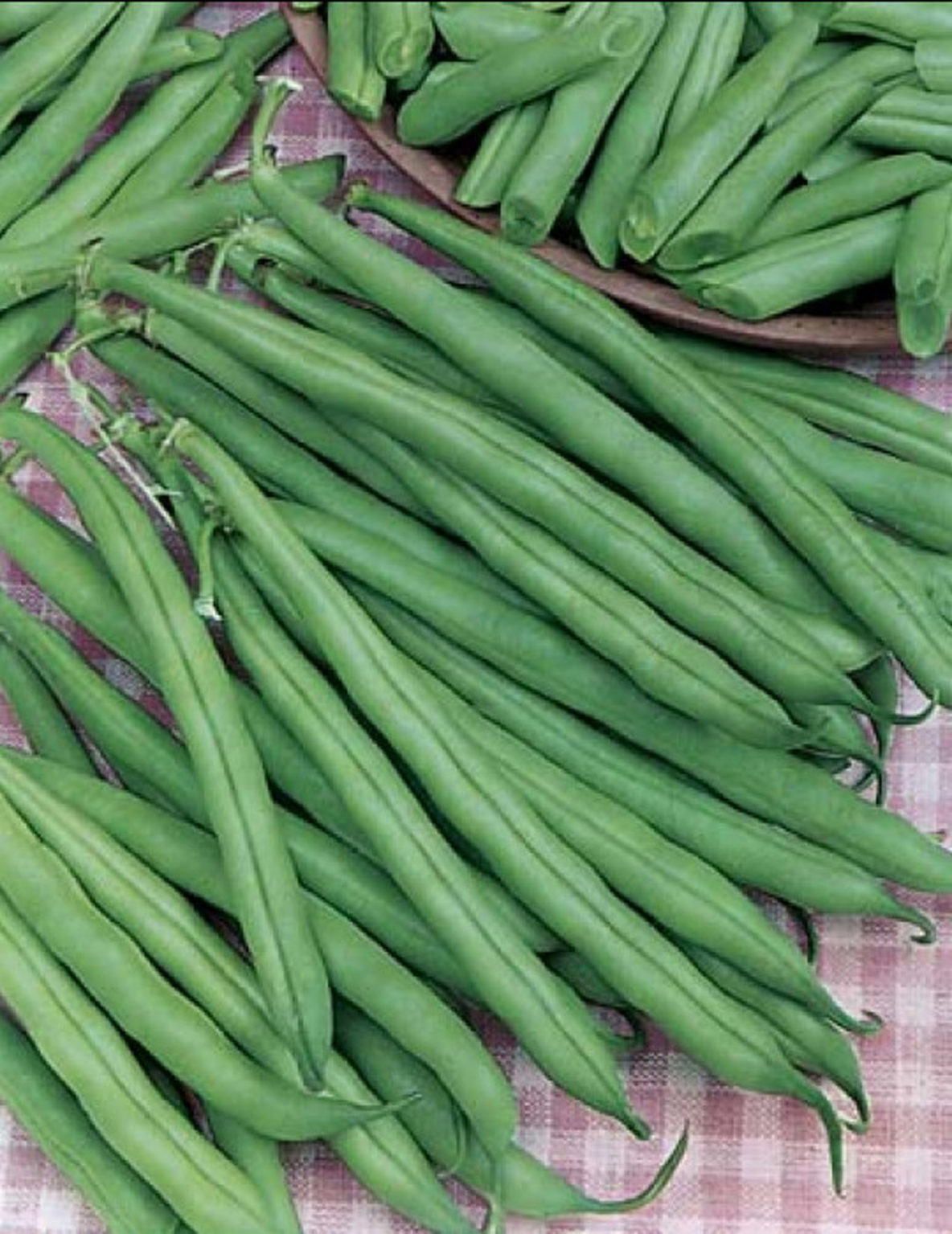 Seeds - Dwarf Bean Tendergreen - Springvale Garden Centre