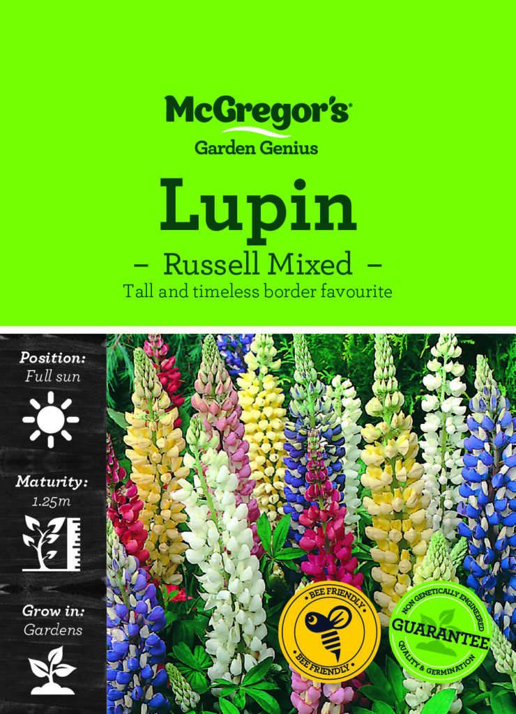 Seeds - McG Lupin Russell Mixed - Springvale Garden Centre