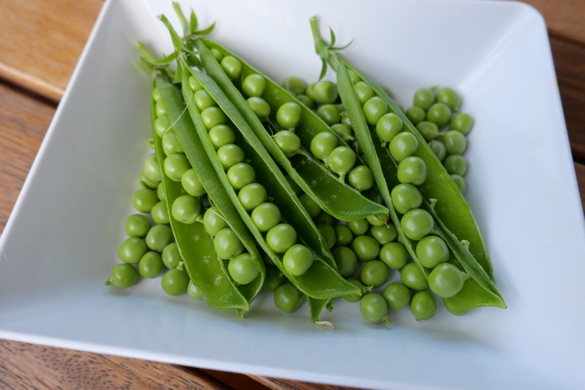 Seeds - Ican Pea Magic - Springvale Garden Centre