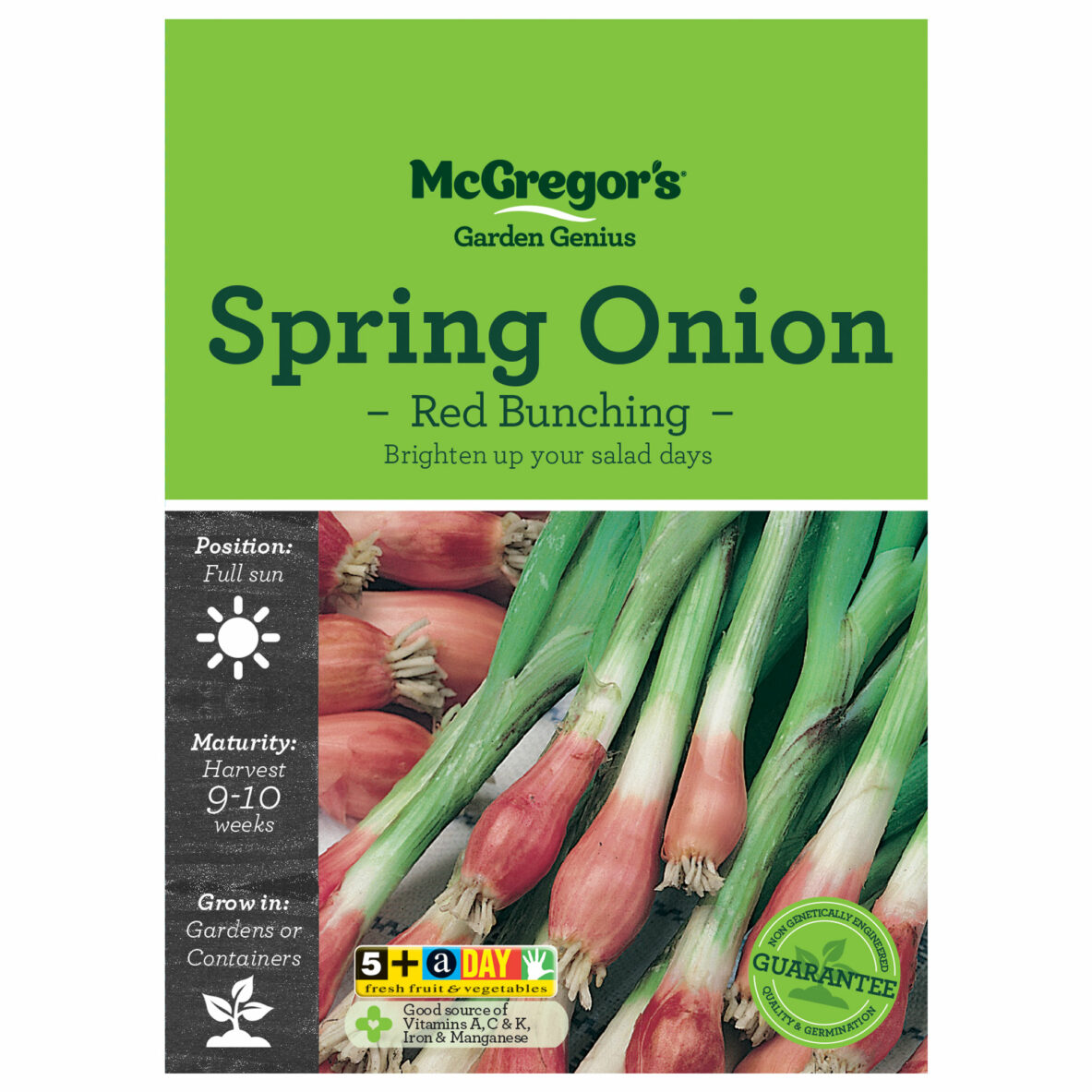 Seeds - McG Spring Onion Red Bunching - Springvale Garden Centre
