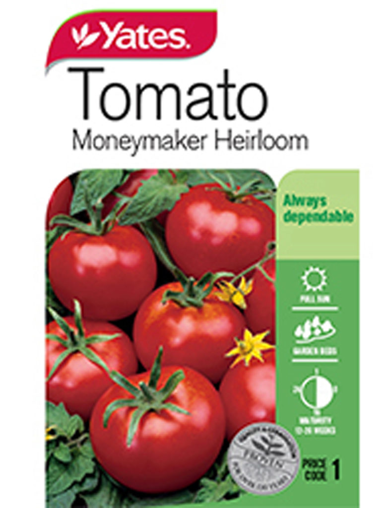 TOMATO MONEYMAKER 1 - Springvale Garden Centre