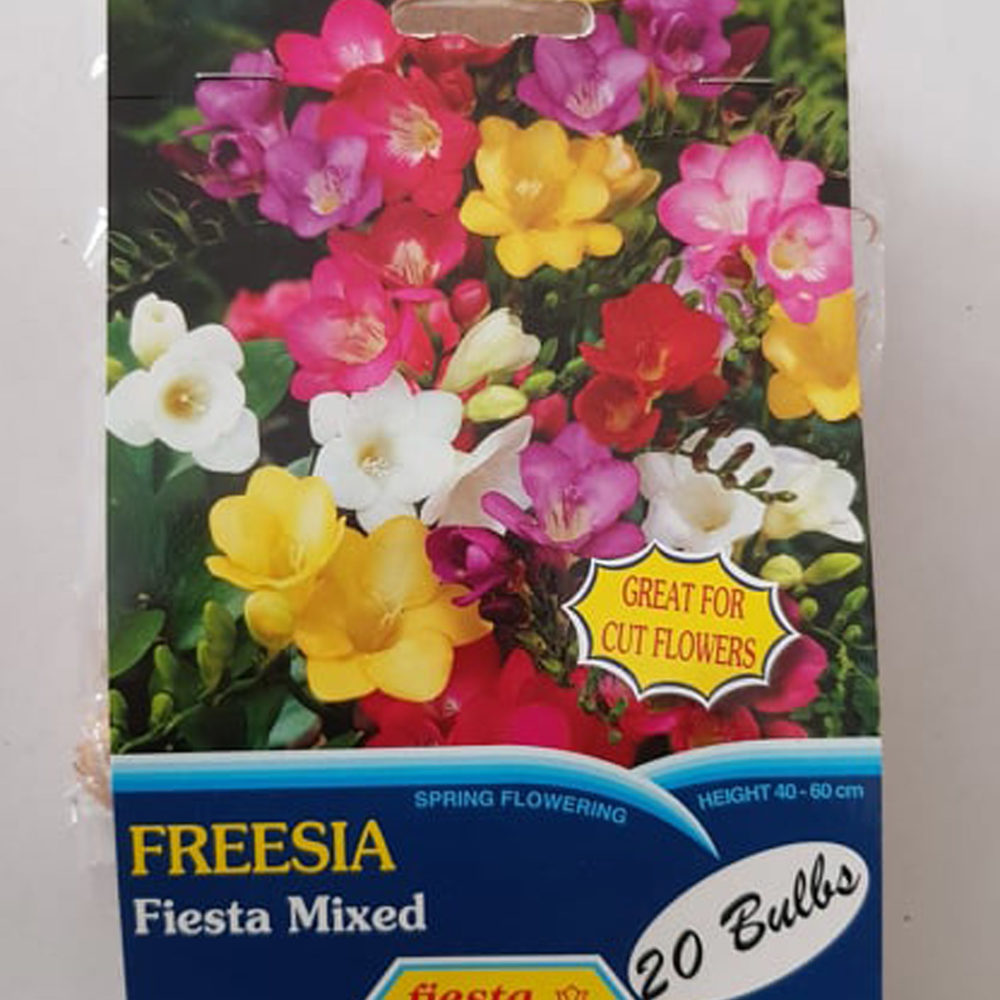 Lomandra Lime Tuff - Springvale Garden Centre