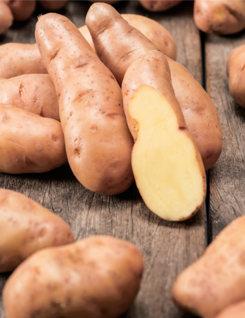 Seed Potato Pink Fir Apple 1kg - Springvale Garden Centre