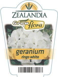 Geranium Ringo White - Springvale Garden Centre