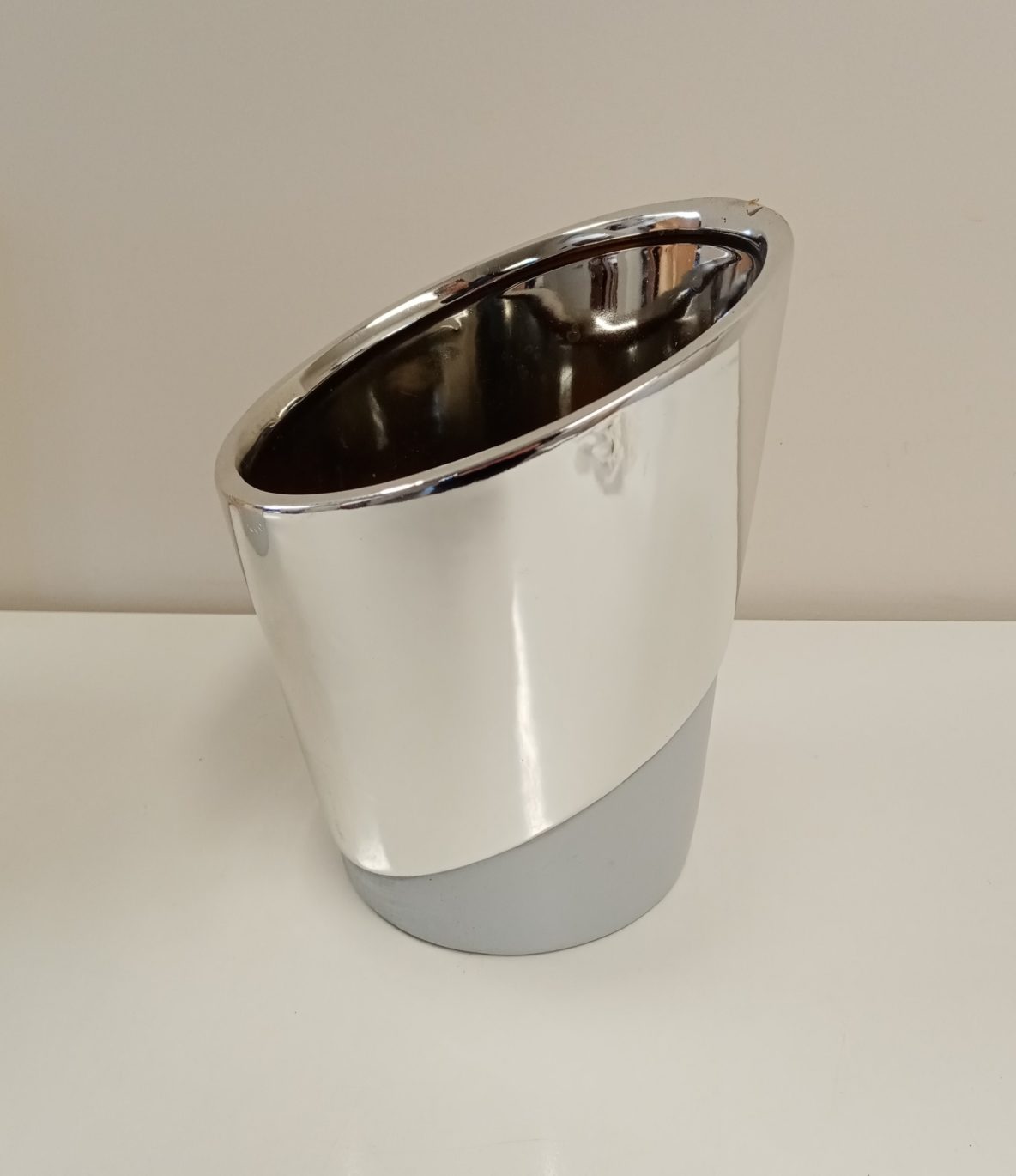 12cm Silver Orchid - Springvale Garden Centre