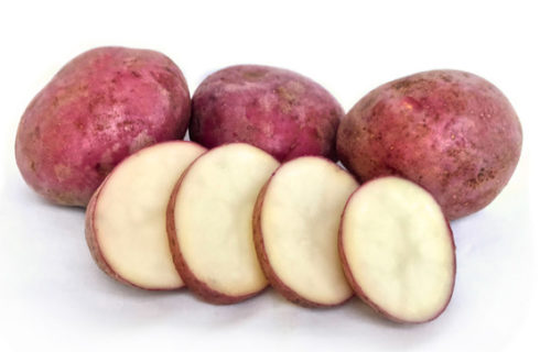 Seed Potatoes Red Rascal 1kg - Springvale Garden Centre