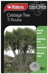 Seeds - Native Cabbage Tree - Springvale Garden Centre