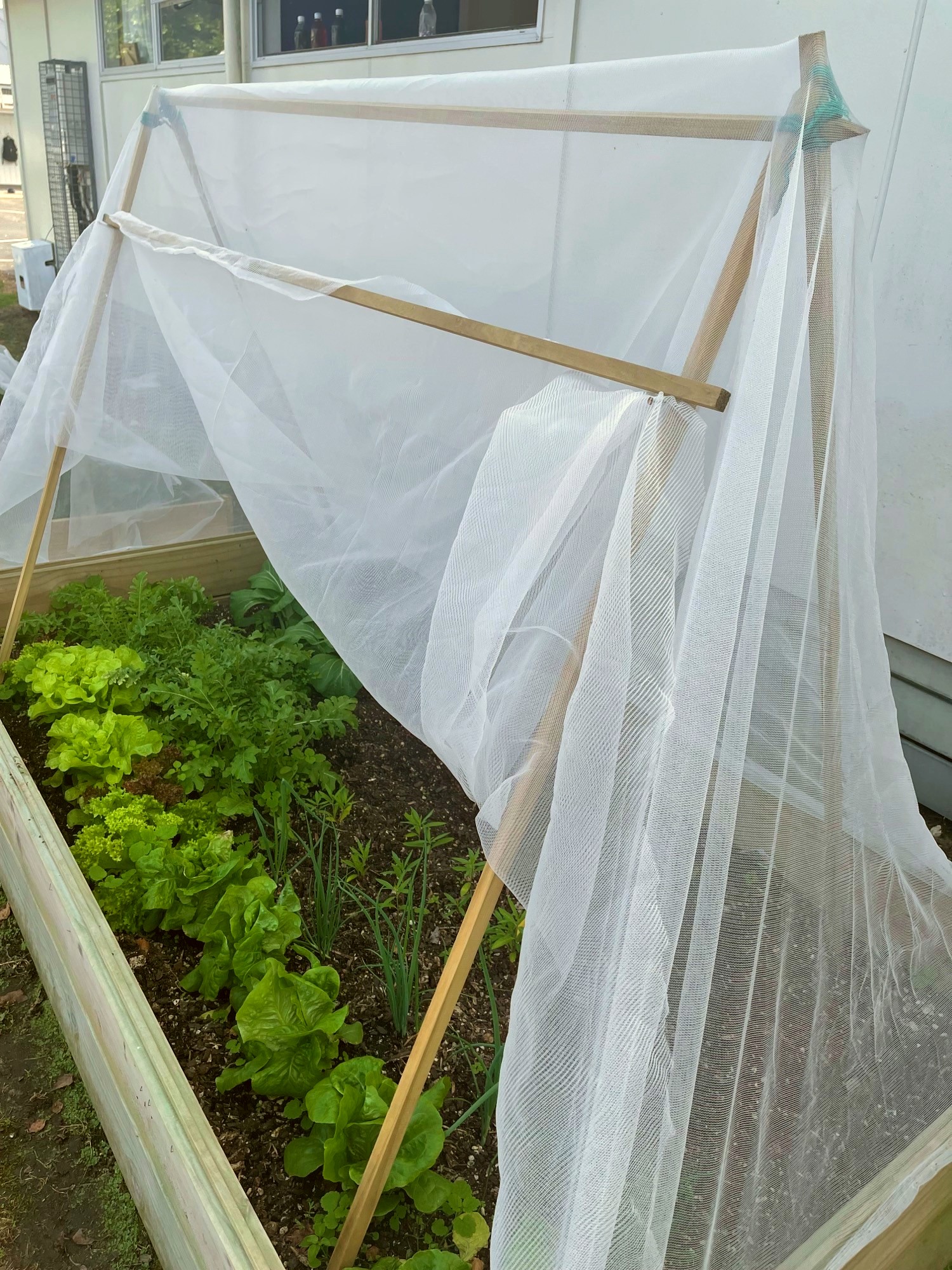 Churton School - Springvale Garden Centre