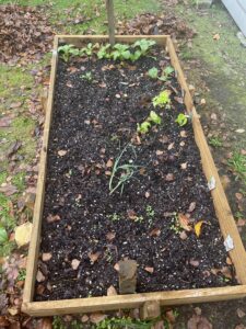 Churton School - Springvale Garden Centre
