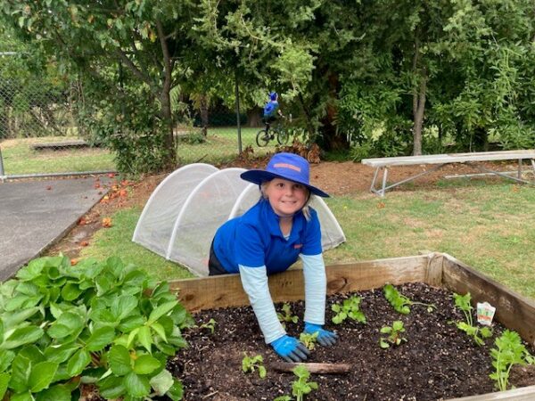Churton School - Springvale Garden Centre