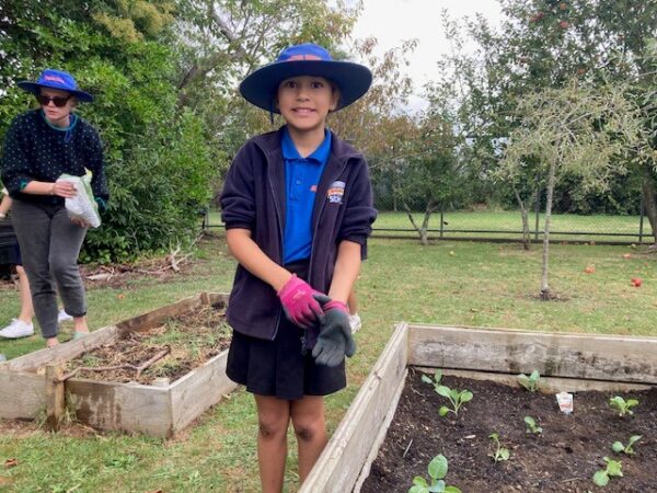 Churton School - Springvale Garden Centre