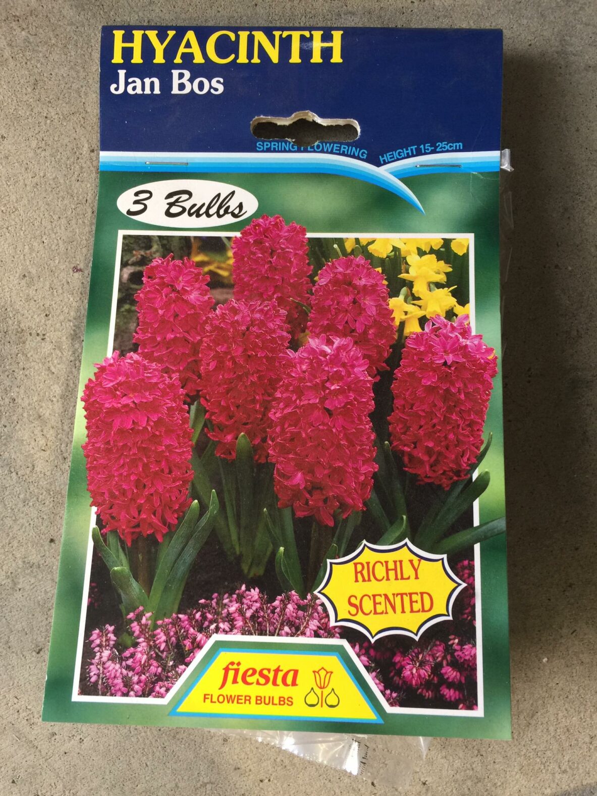 Hyacinth Jan Bos 3s - Springvale Garden Centre