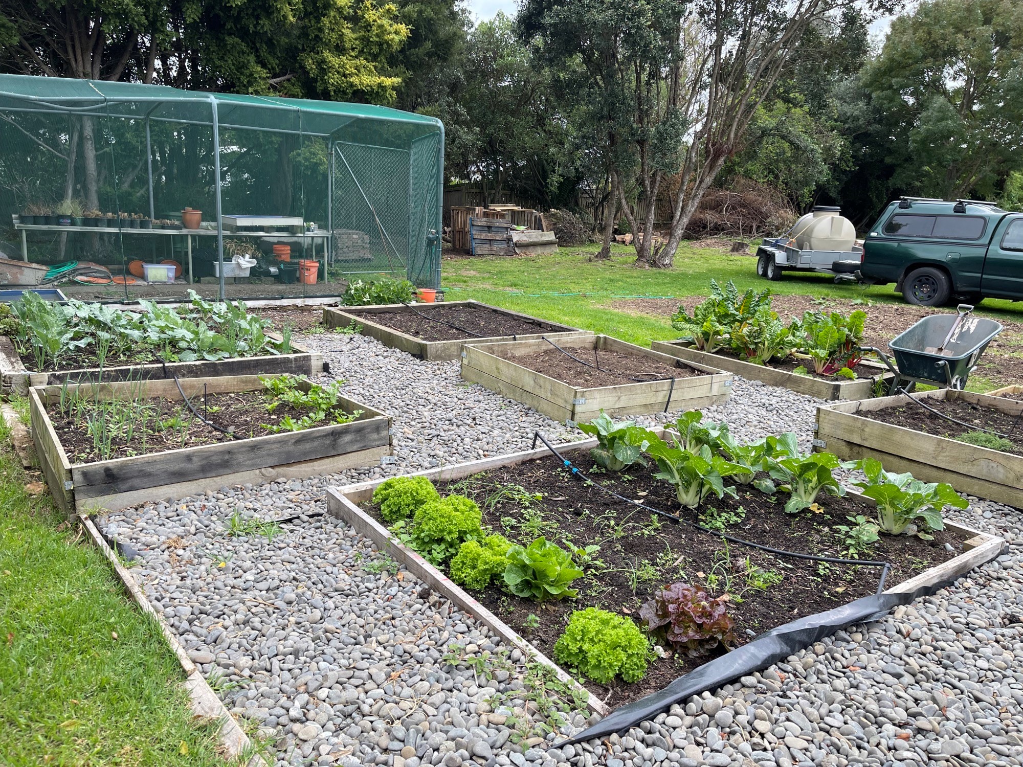 Rutherford Junior High - Springvale Garden Centre