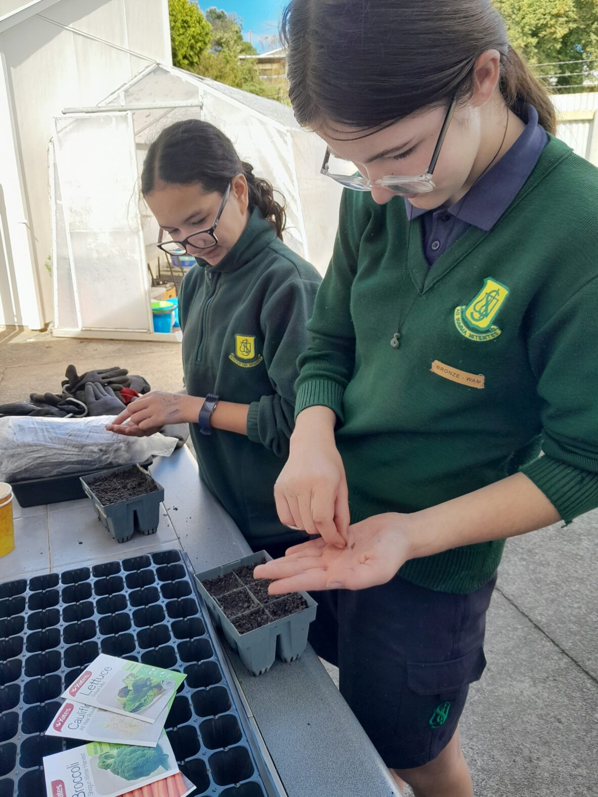 Whanganui Intermediate School - Springvale Garden Centre