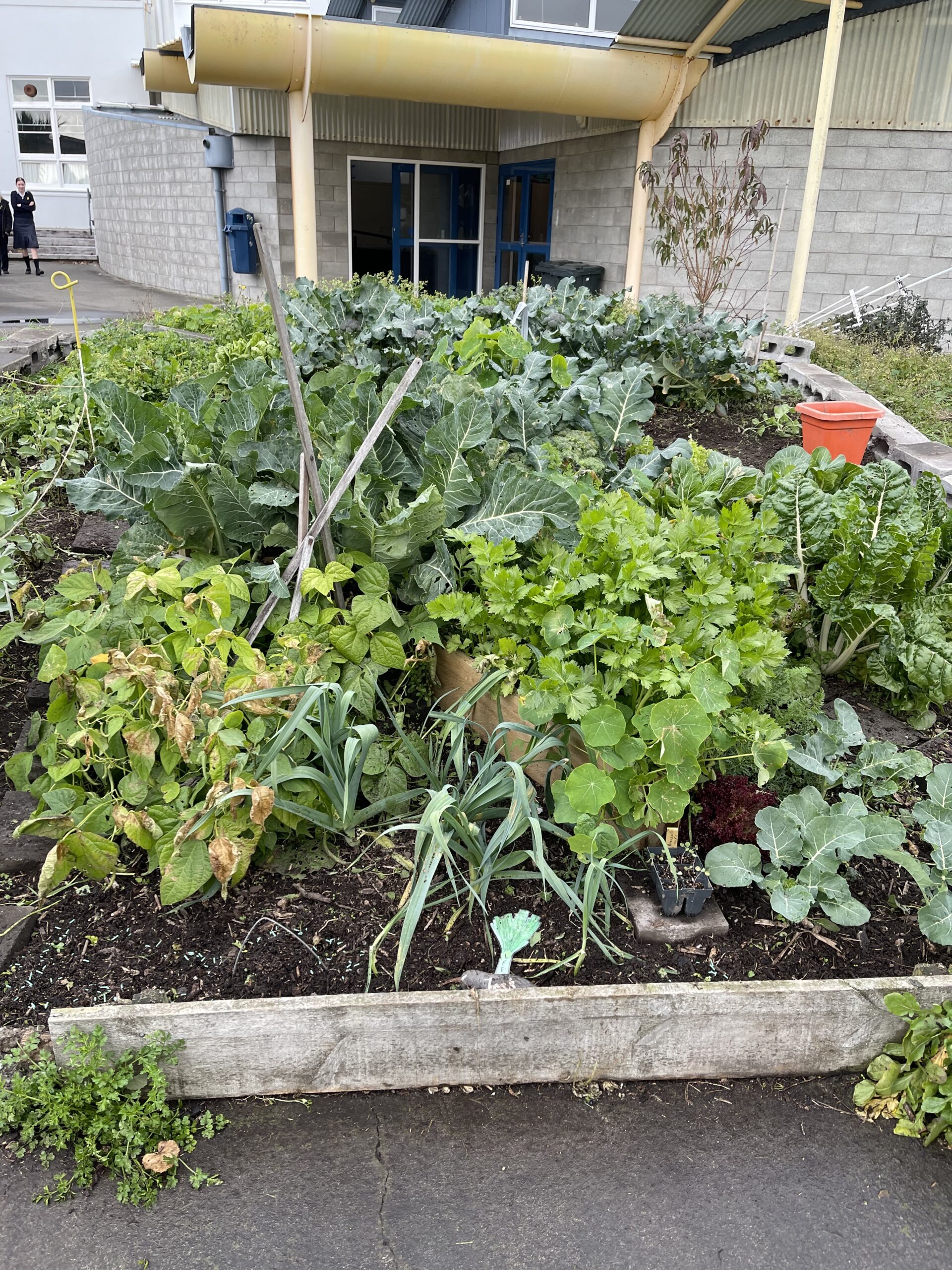 Whanganui Girls College - Springvale Garden Centre