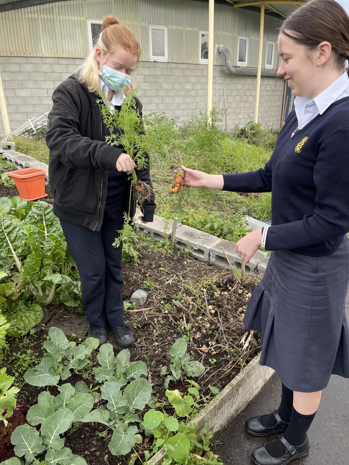 Whanganui Girls College - Springvale Garden Centre