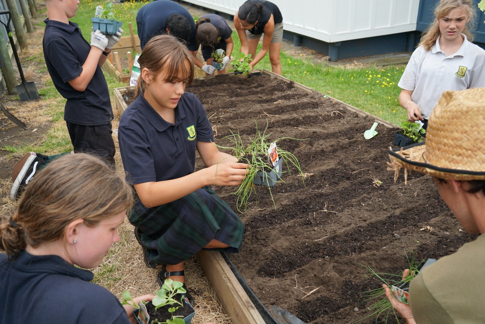 Whanganui Intermediate School - Springvale Garden Centre