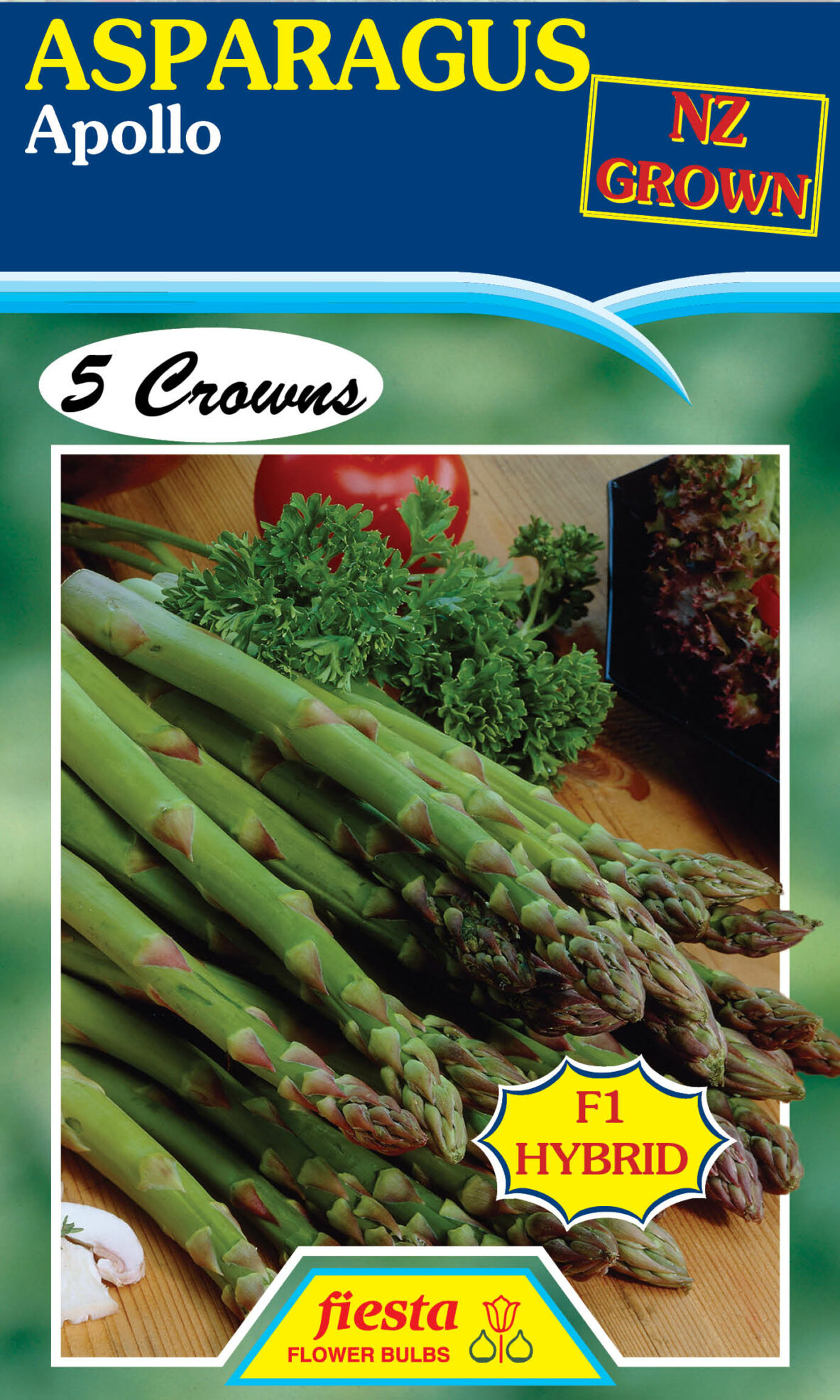 Asparagus Apollo - Springvale Garden Centre