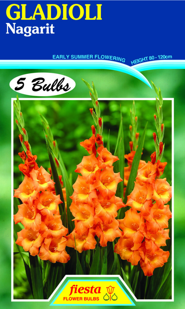Gladioli - Nagarit 5pk - Springvale Garden Centre