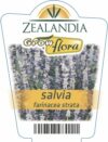 Salvia Farinacea Strata - Springvale Garden Centre