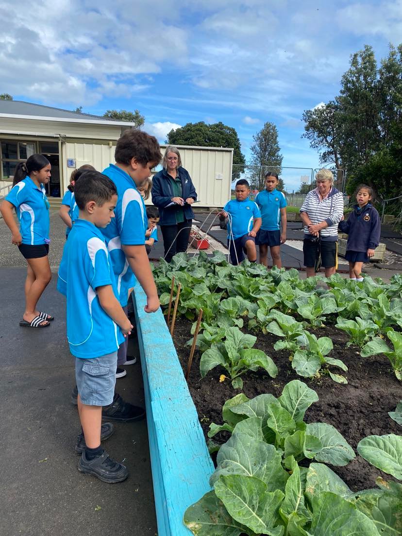 Castlecliff School - Springvale Garden Centre