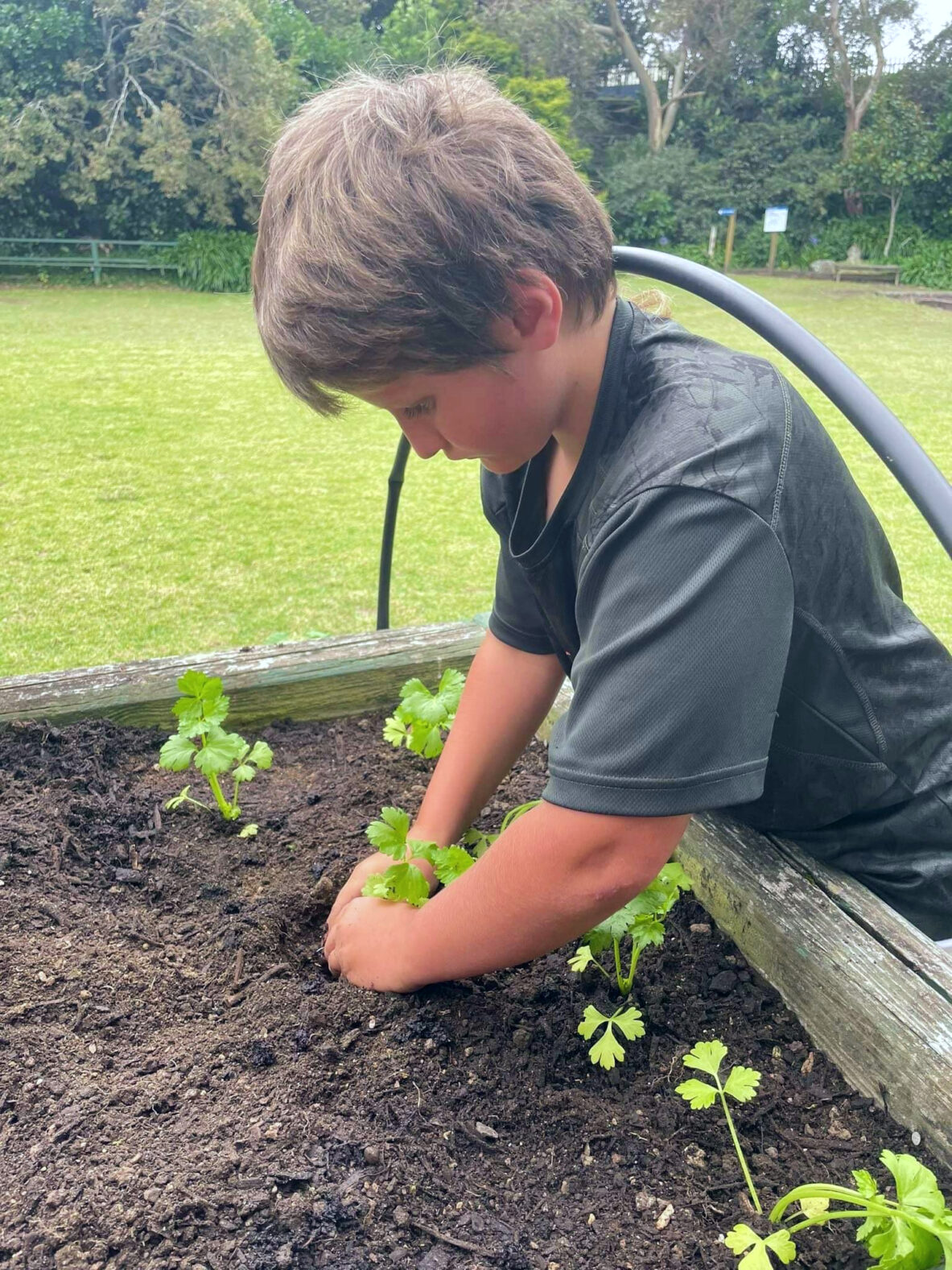 Gonville School - Springvale Garden Centre