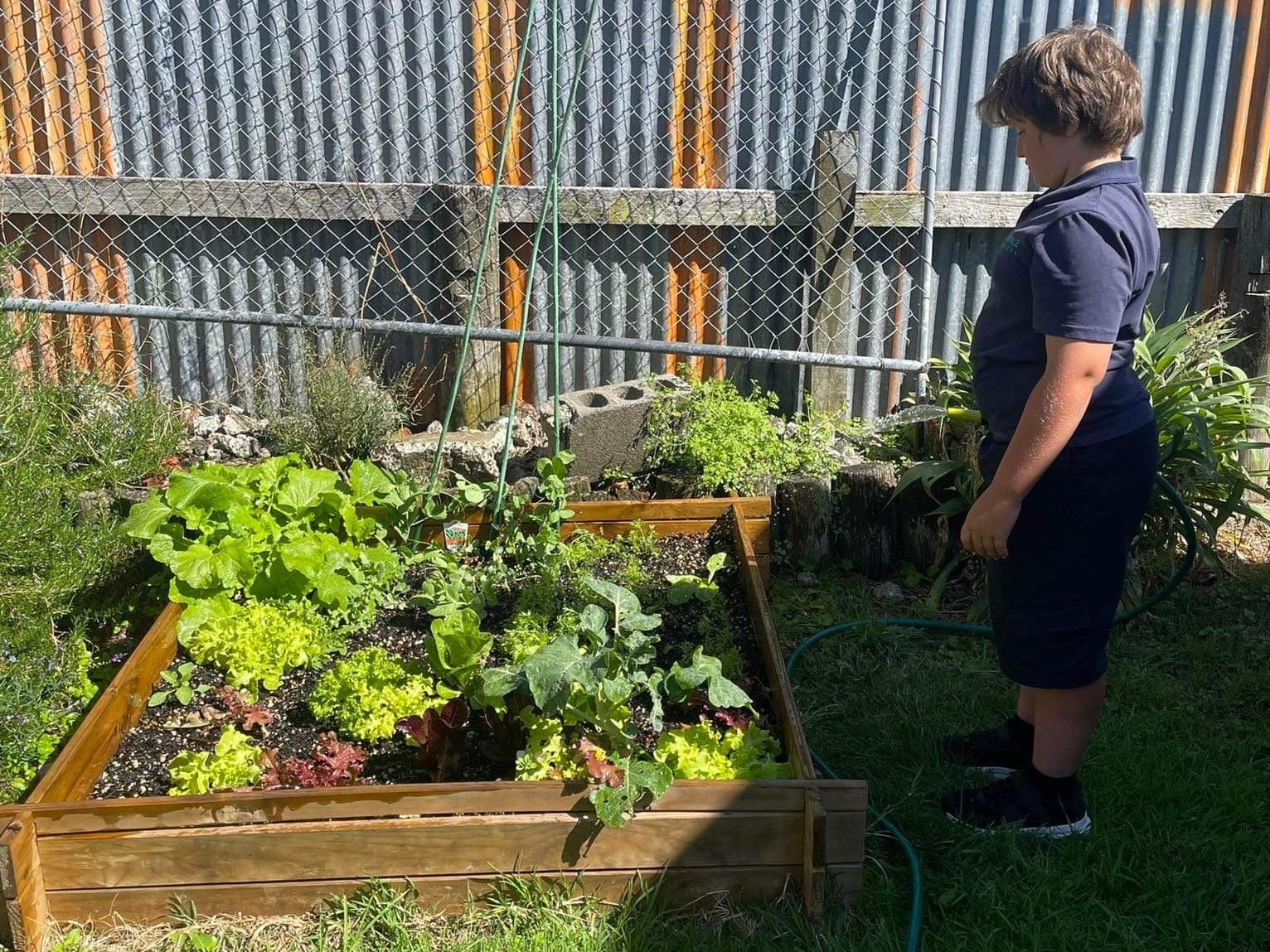 Gonville School - Springvale Garden Centre