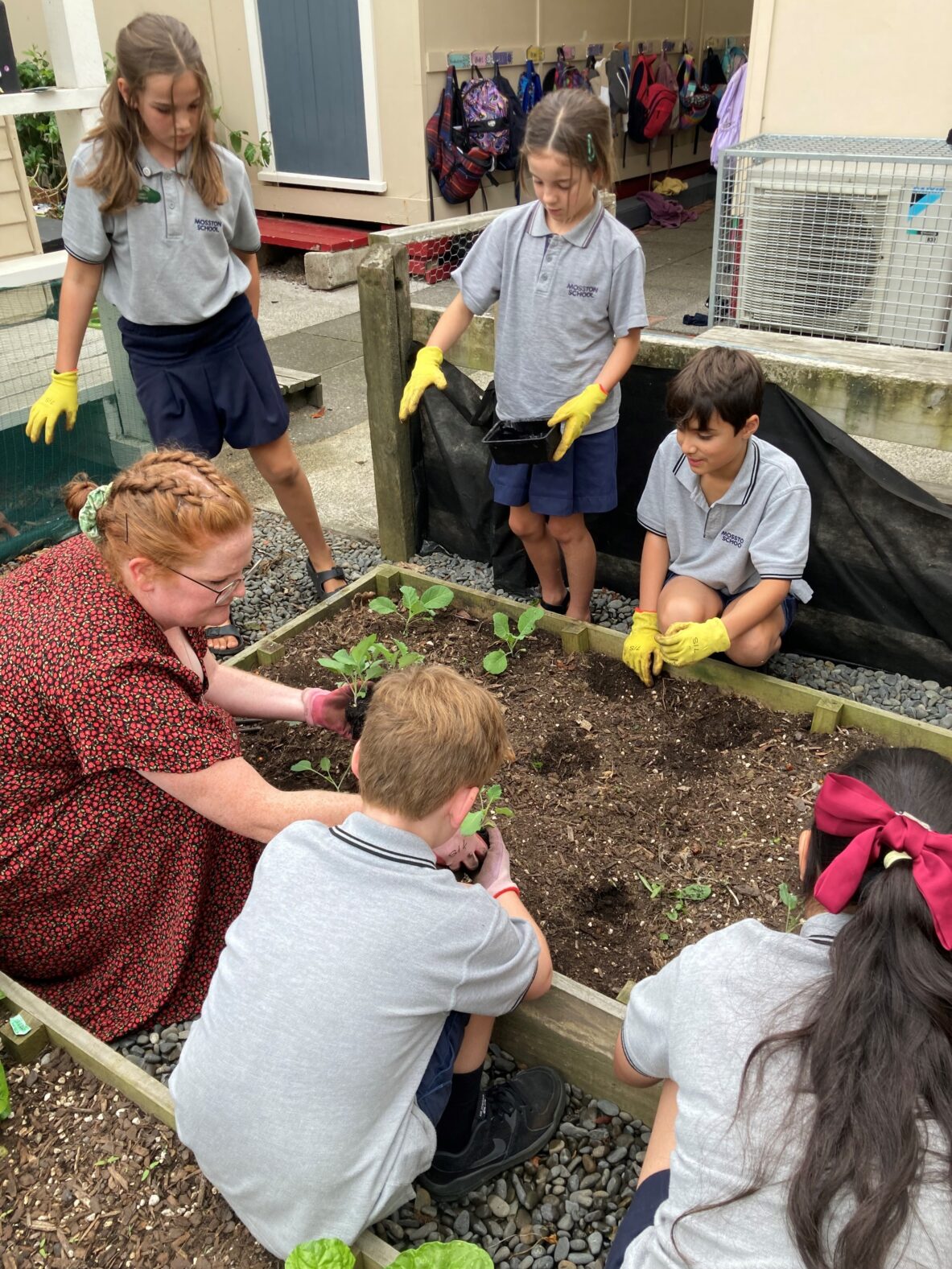 Mosston School - Springvale Garden Centre
