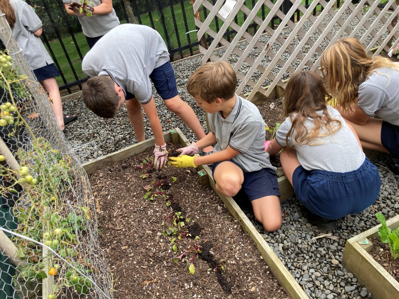 Mosston School - Springvale Garden Centre