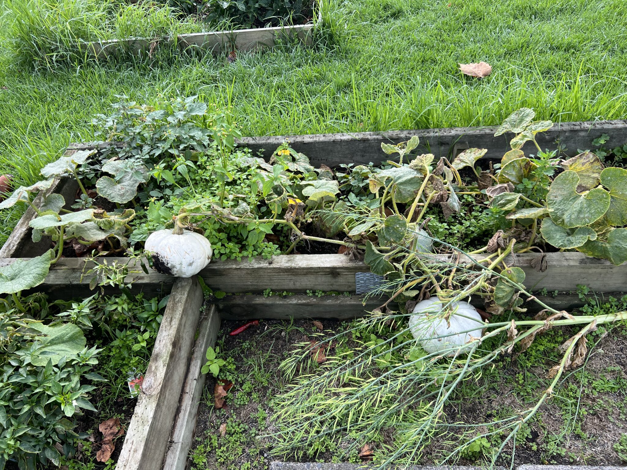 Whanganui City College - Springvale Garden Centre