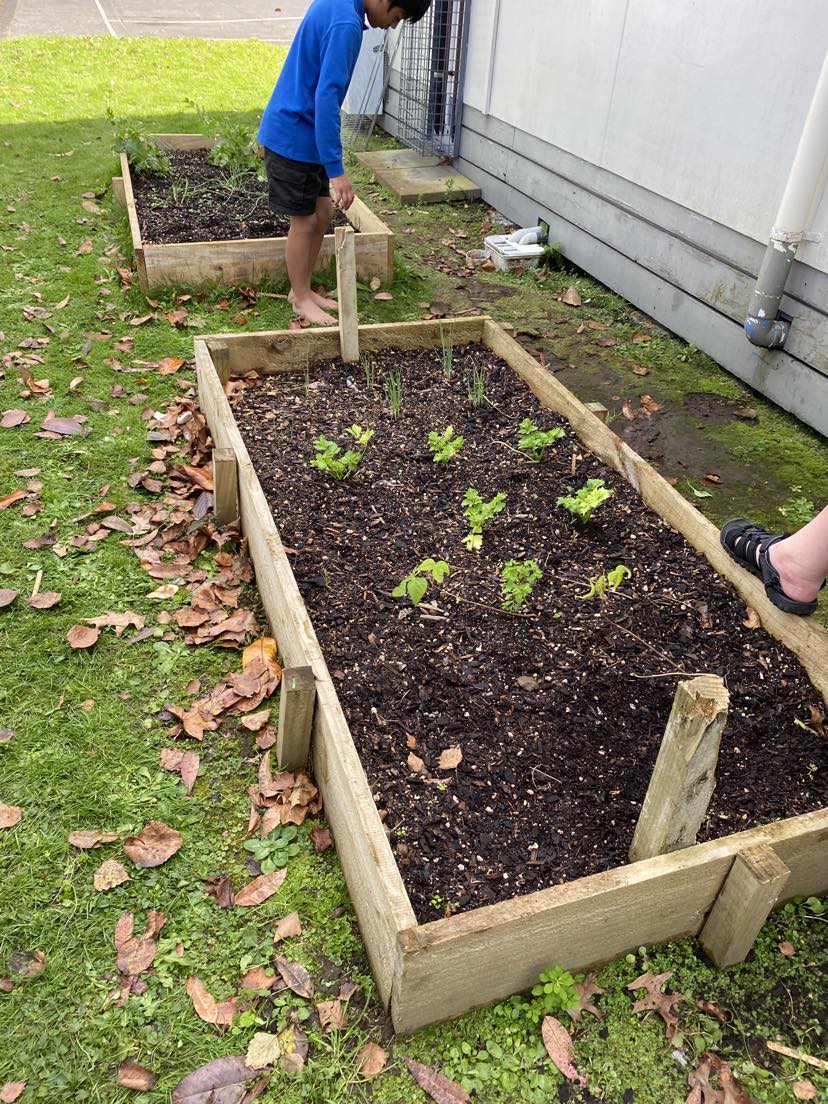 Churton School - Springvale Garden Centre