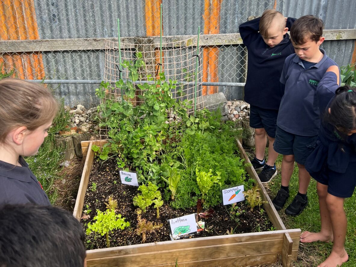 Gonville School - Springvale Garden Centre