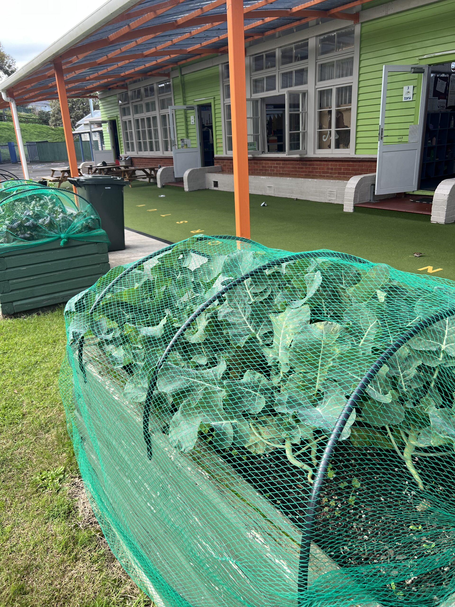 Gonville School - Springvale Garden Centre