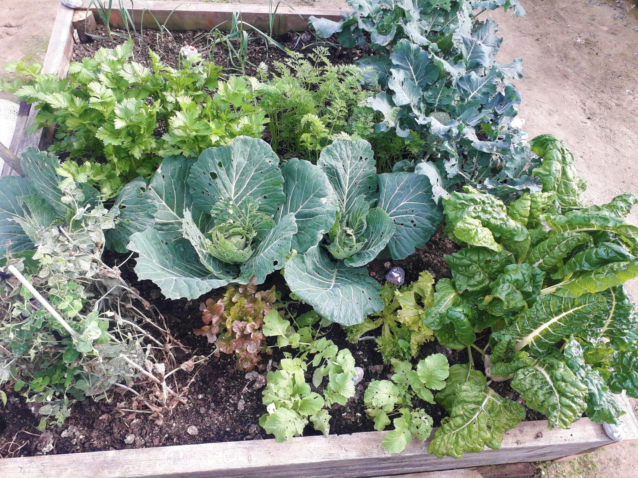 Valley Homeschool - Springvale Garden Centre