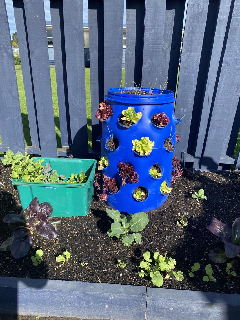 Faith City School - Springvale Garden Centre