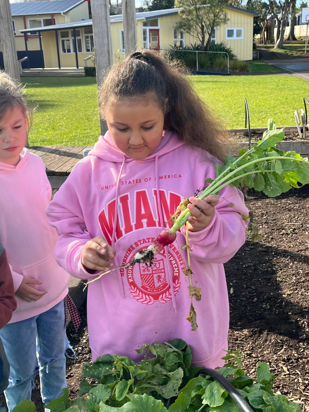 St. John's Hill School - Springvale Garden Centre