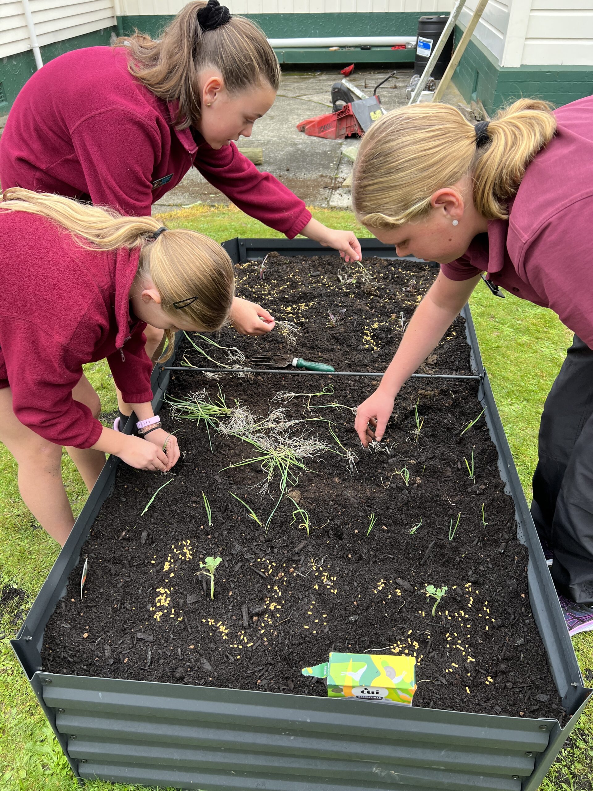 Hunterville School - Springvale Garden Centre