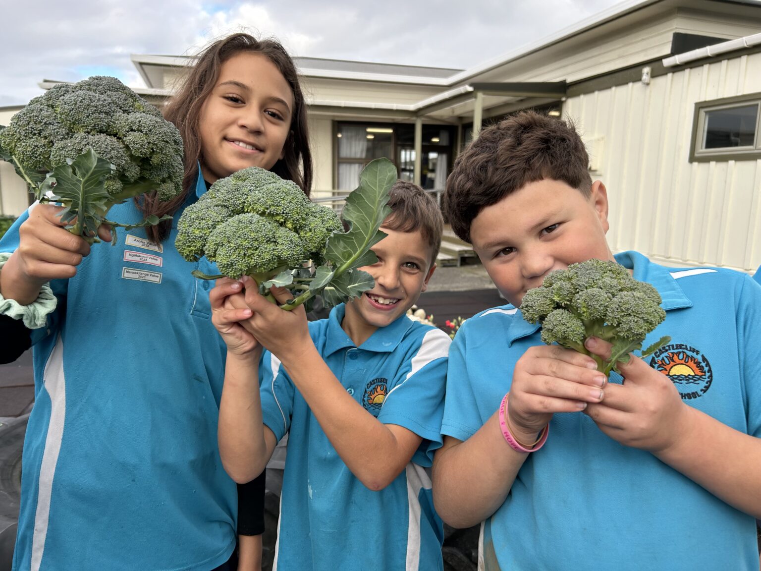 Castlecliff School - Springvale Garden Centre