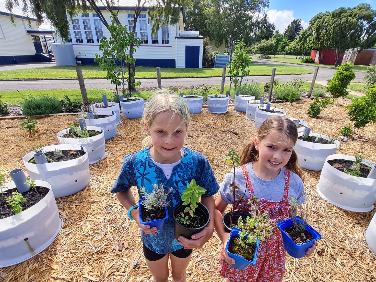 Marton School - Springvale Garden Centre