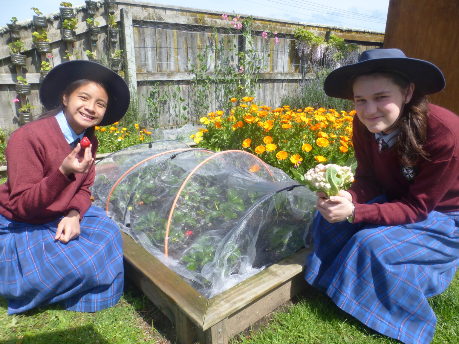 St. Dominic's College - Springvale Garden Centre