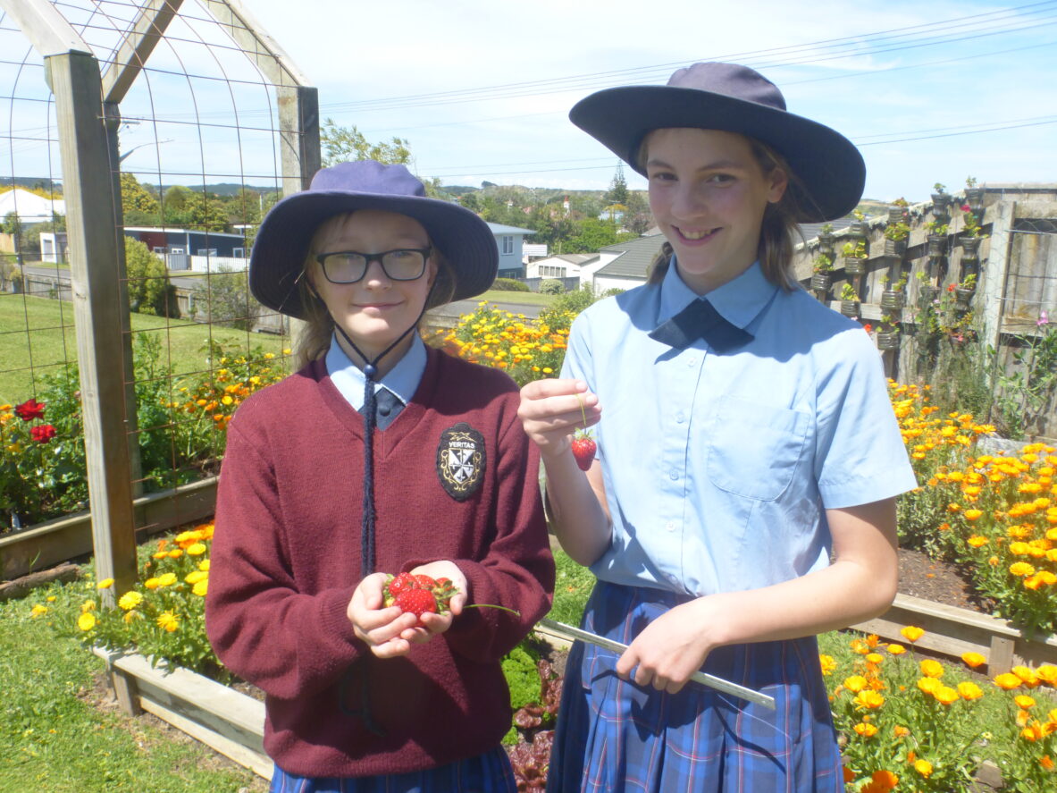 St. Dominic's College - Springvale Garden Centre