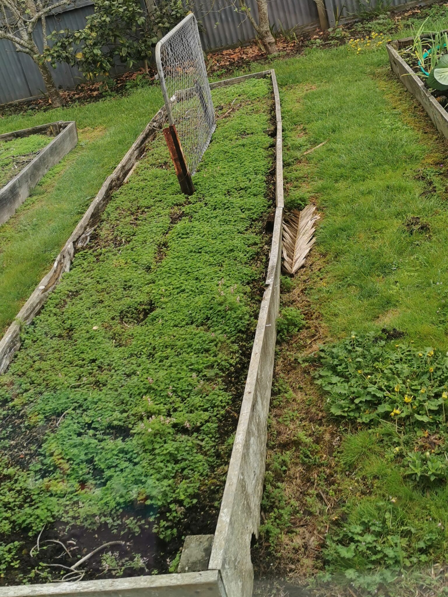 Arahunga School - Springvale Garden Centre